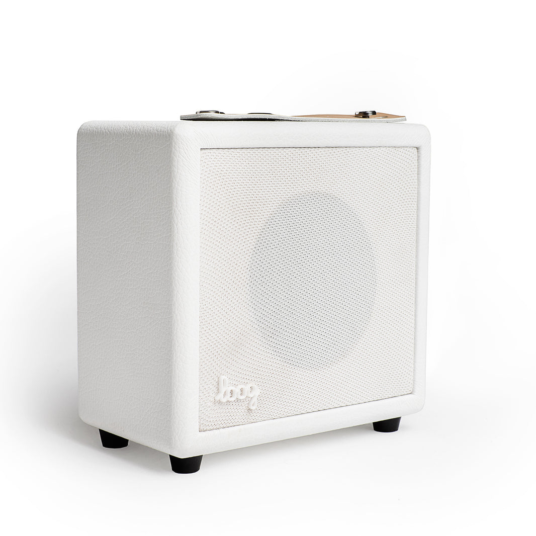 SHOP FENDER x LOOG – Loog Guitars